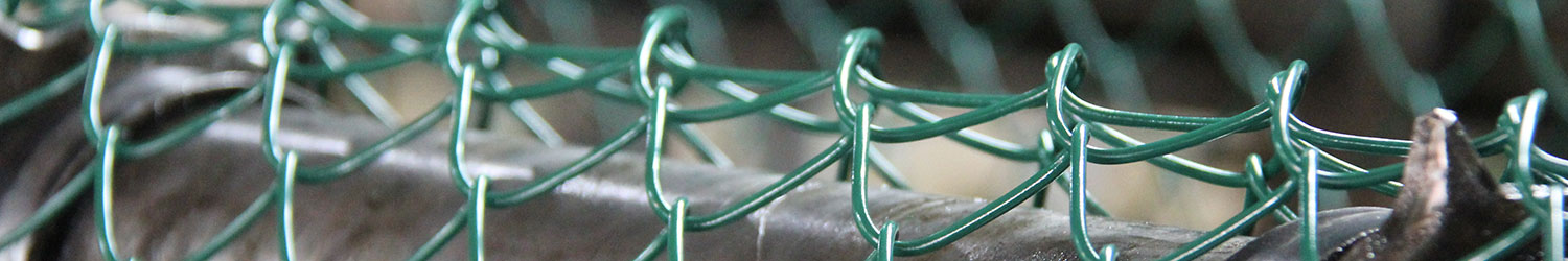 Contact us - Macson Mesh Industries (Pvt) Ltd.